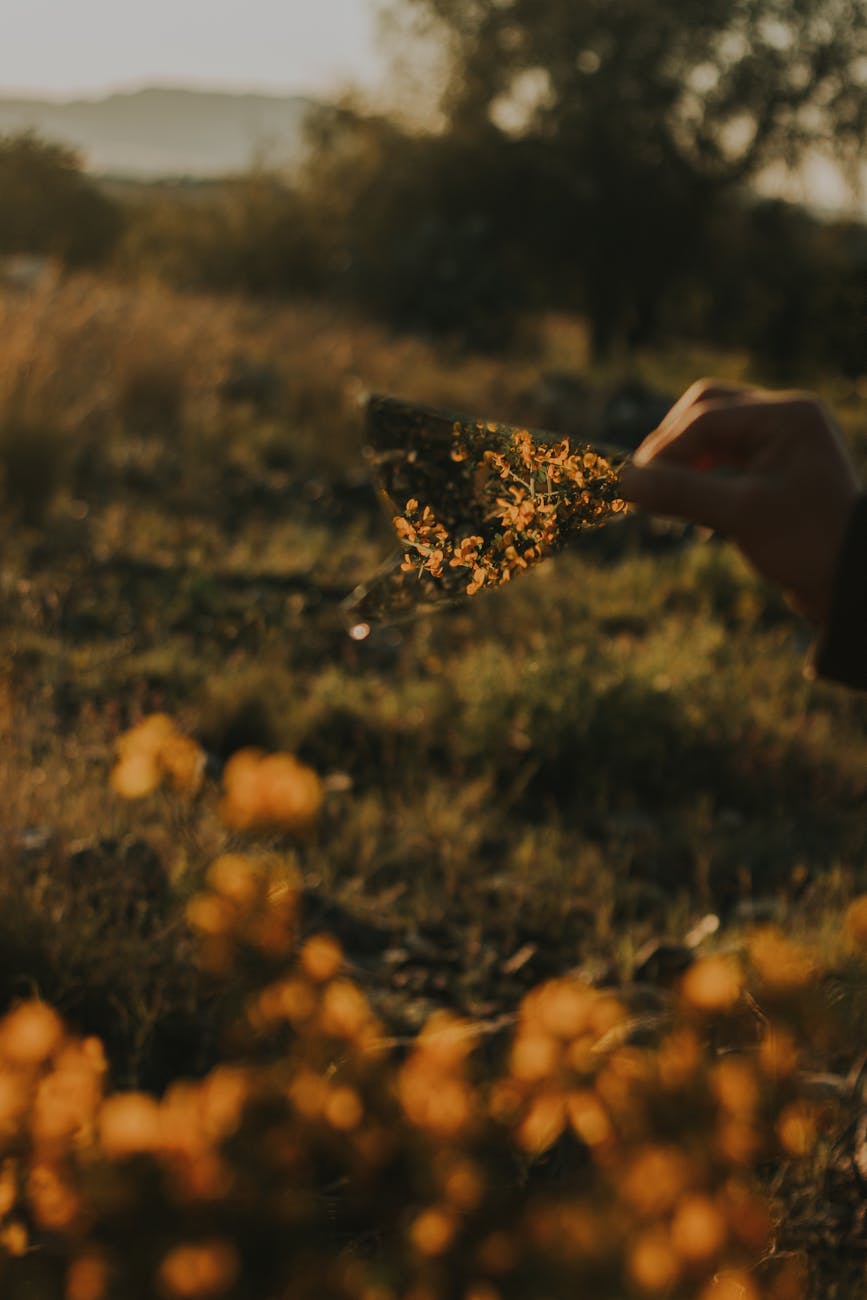 reflecting – Soul Scientist